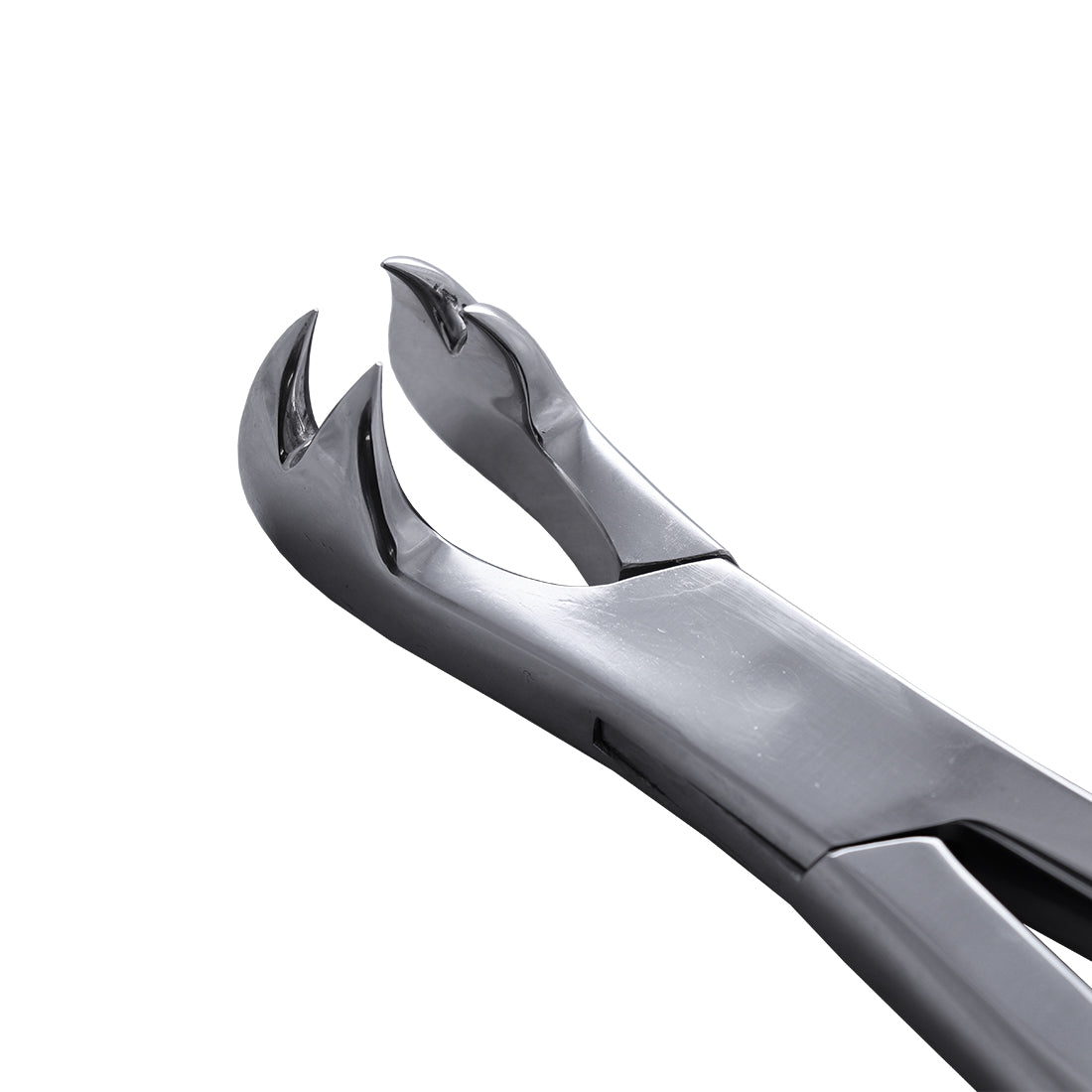 4-Prong Extraction Forceps, 19" Length | Equine Dental Instruments