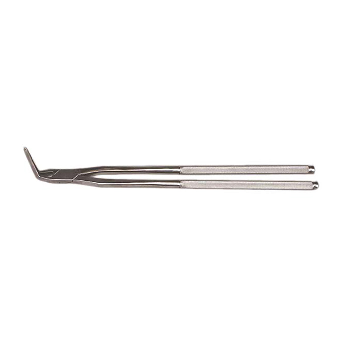 Fragment Forceps, Slim, 8 cm | Equine Dental Instruments