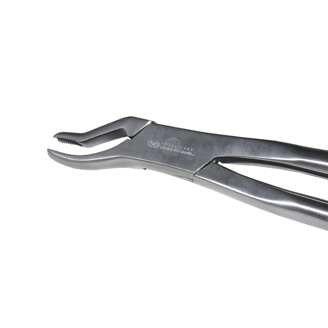 Fragment Forceps, Duck Bill | Equine Dental Instruments