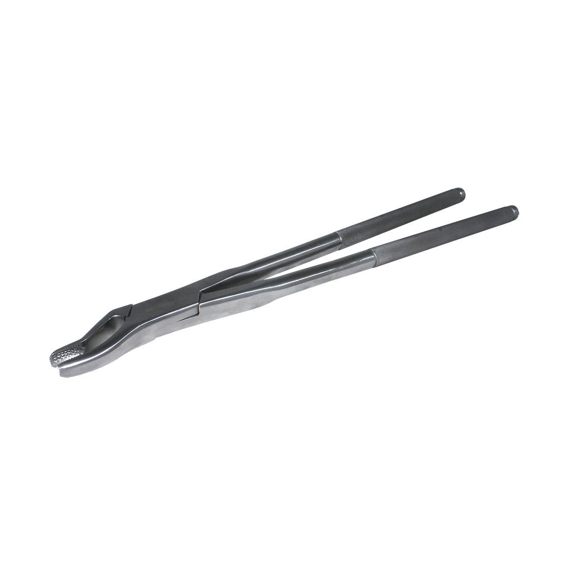 Fragment Forceps, Duck Bill | Equine Dental Instruments
