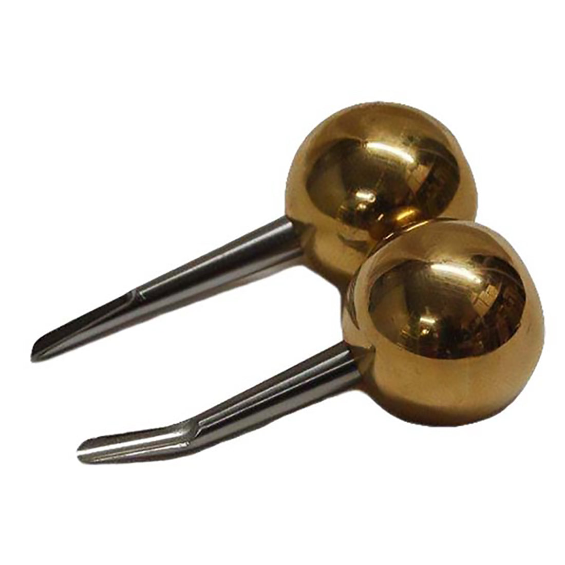 Martel Wolf Tooth Elevator | Equine Dental Instruments